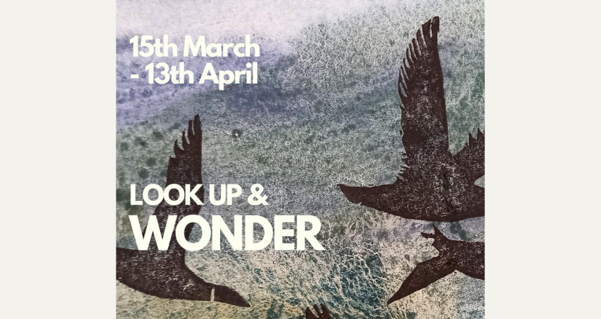 Look up and wonder: A new exhibition by Emma and Sarah Majury - Ards ...