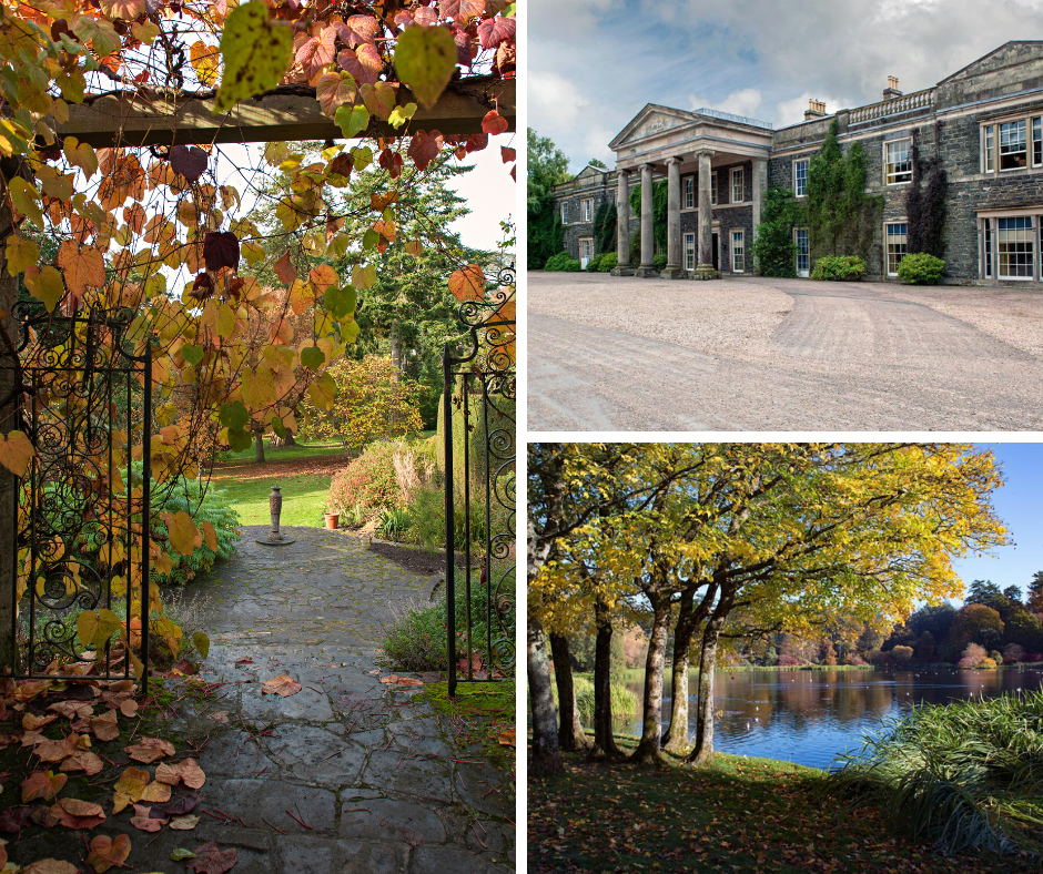 Mount Stewart Takes Centre Stage for BBC Winterwatch - Ards & North Down