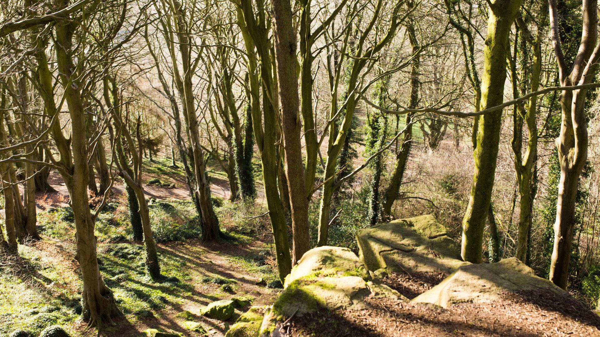 Redburn Country Park