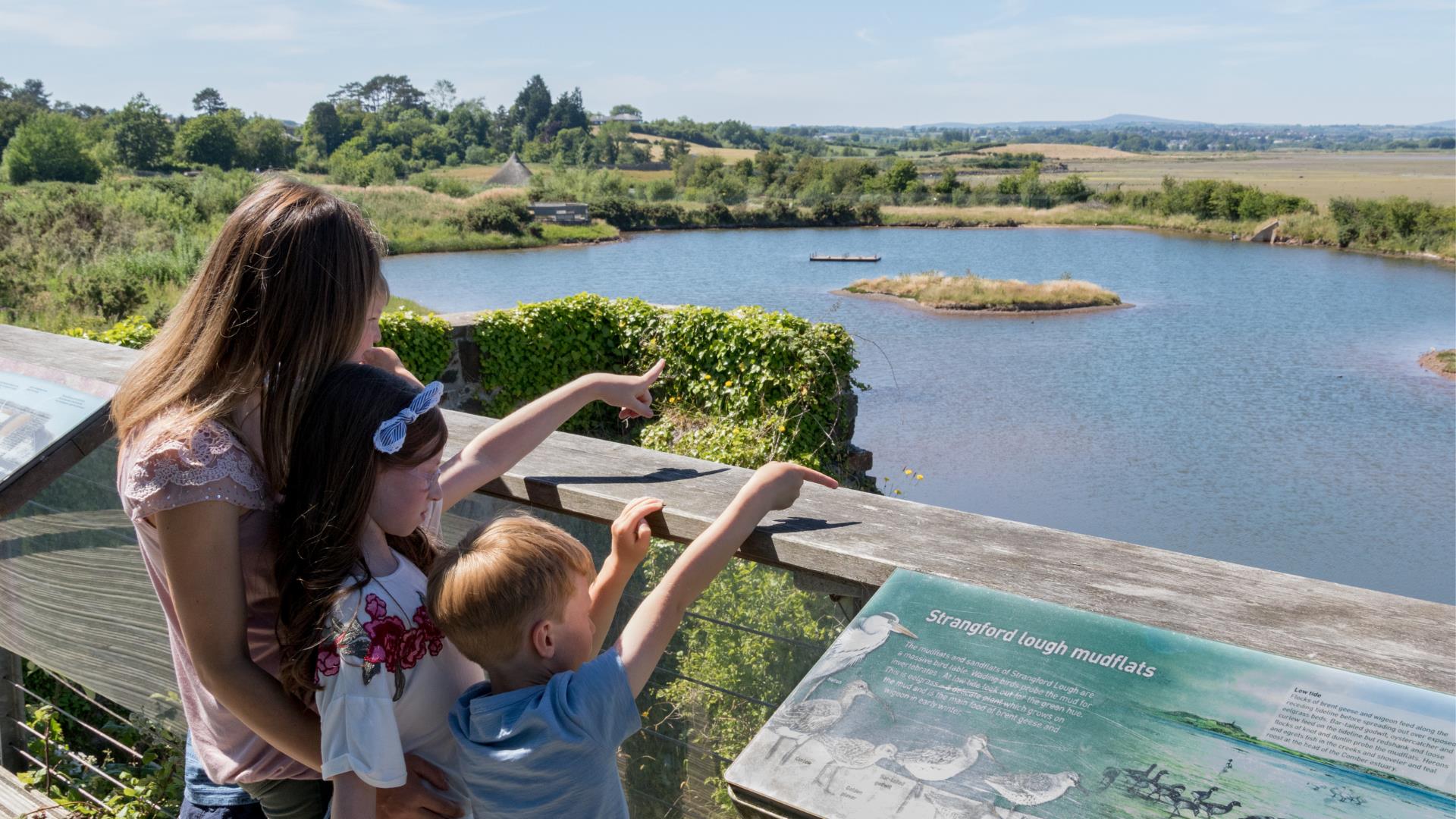 WWT Castle Espie Wetland Centre - Ards & North Down