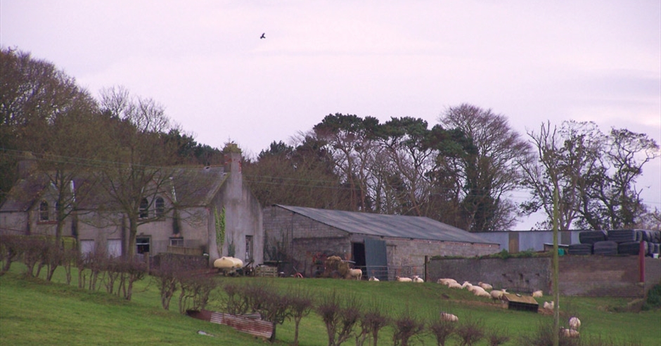 Ballyrolly Farm - Ards & North Down