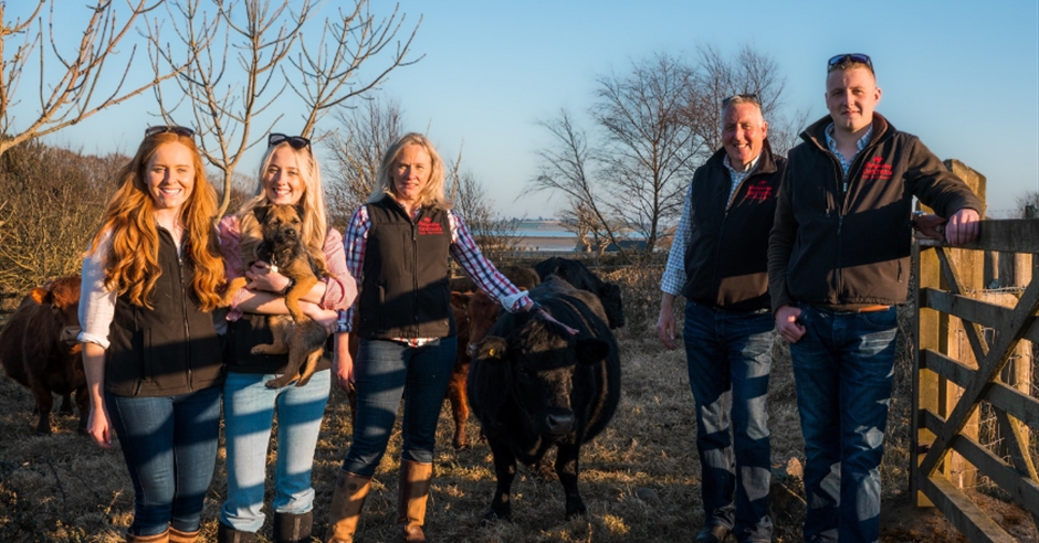 Ballyboley Dexters - Ards & North Down