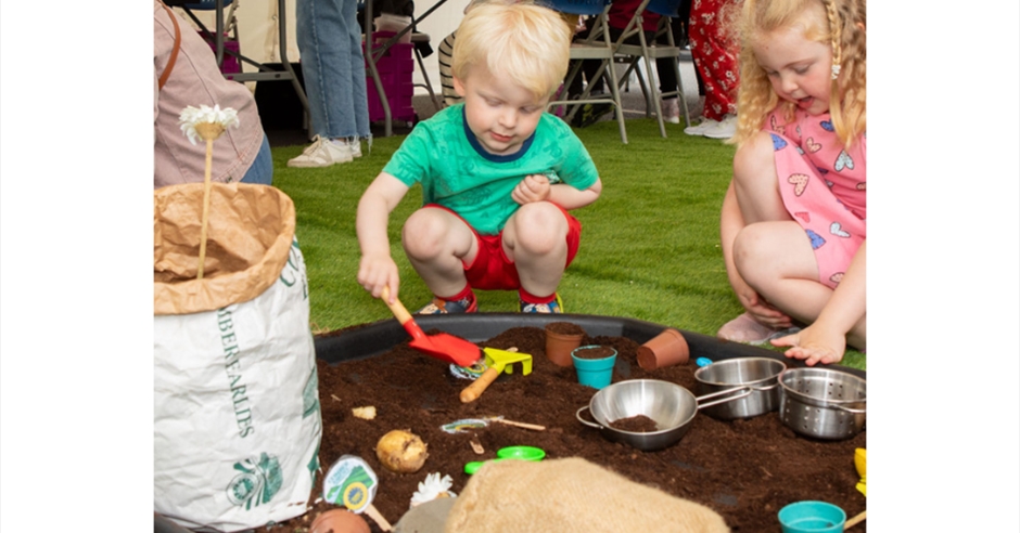 Comber Earlies Food Festival | Activities