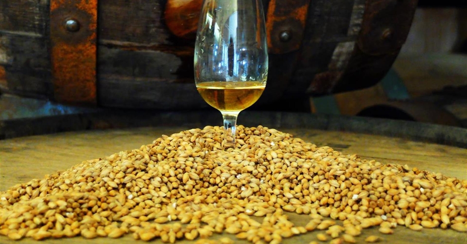The Echlinville Distillery - Distillery in Kircubbin, Kircubbin - Ards ...