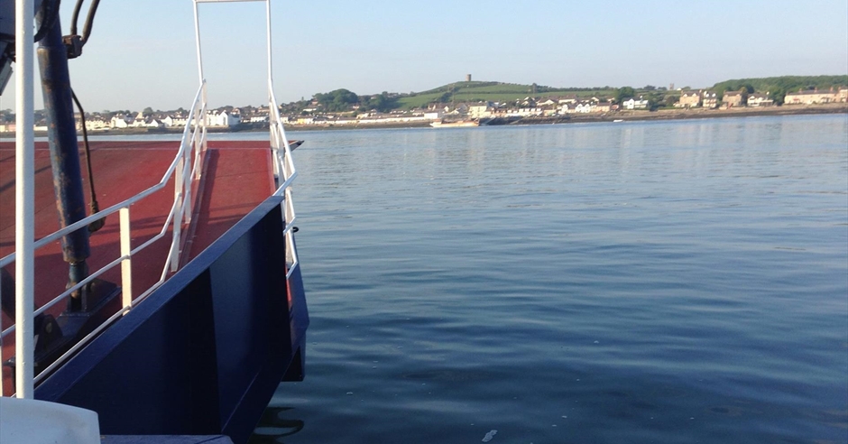 Strangford Lough Ferry - Boats & Ferries in Strangford, Strangford ...