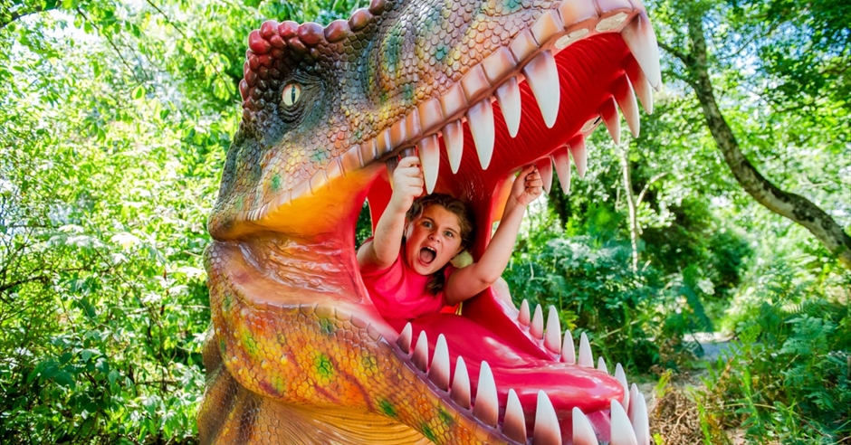 The Ark Open Farm - Open Farm in Newtownards, Newtownards - Ards ...