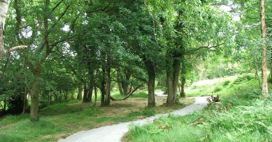 The Ark Open Farm - Open Farm in Newtownards, Newtownards - Ards ...