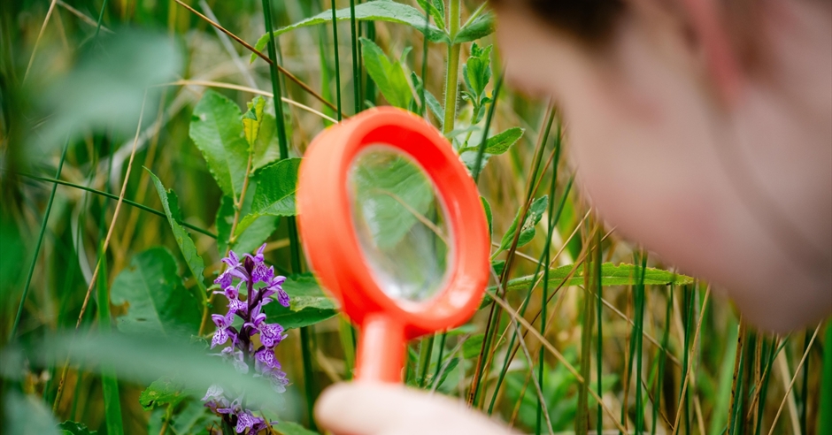 Great Uncle Arthur's Astonishing Adventures - Family Fun in Comber ...