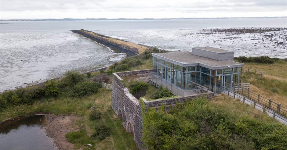 WWT Castle Espie Wetland Centre - Nature and Wildlife in Comber, Comber ...