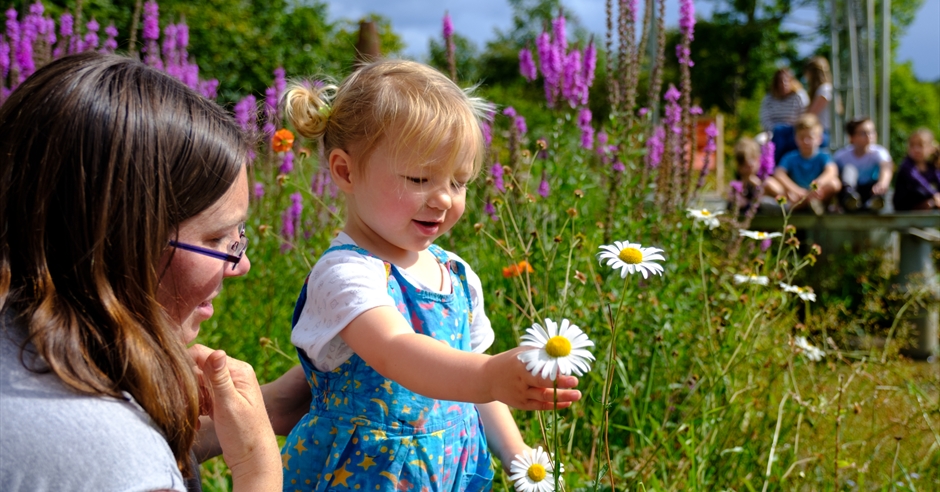 Teddy Bear's Picnic - Family Fun in Comber, Comber - Ards & North Down