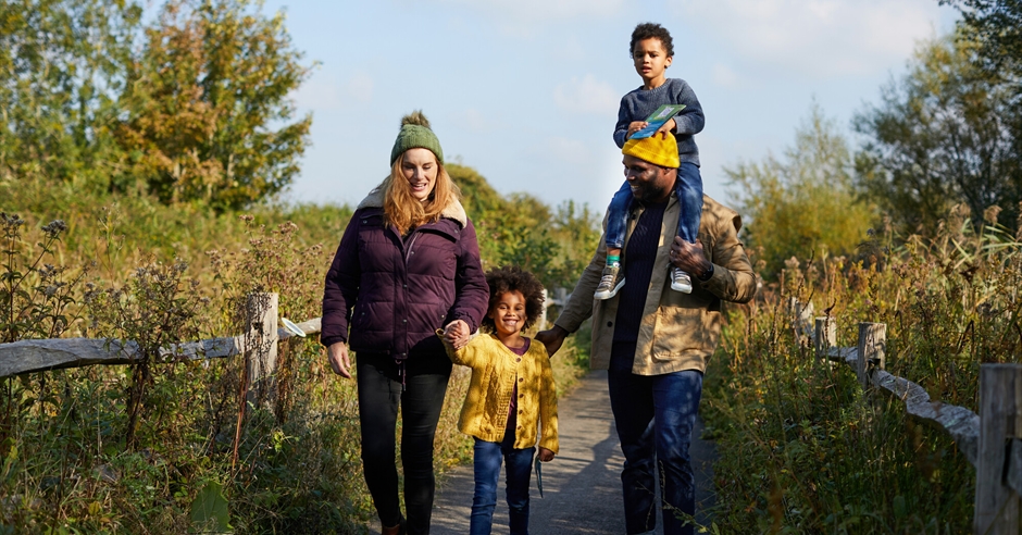 WWT Castle Espie Wetland Centre - Nature and Wildlife in Comber, Comber ...