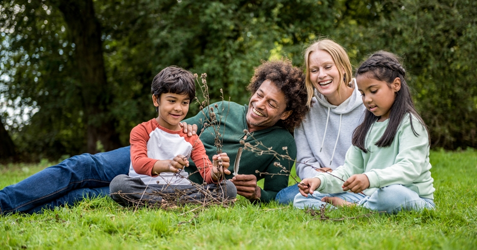 The Big Hide Out - Nature in Comber, Comber - Ards & North Down