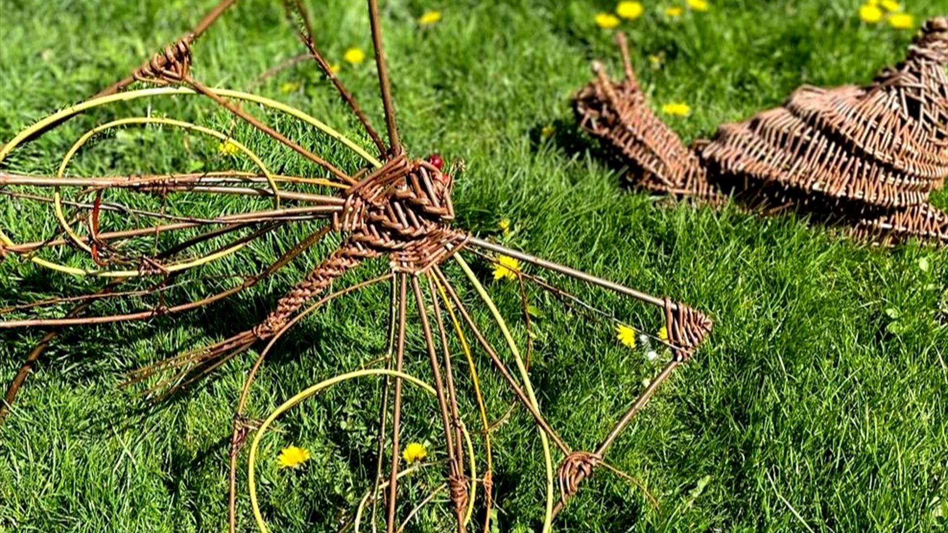 Weave a Willow Dragonfly and Butterfly Workshop in The Walled Garden ...