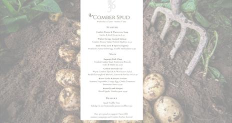 July Events | Ards and North Down | NI